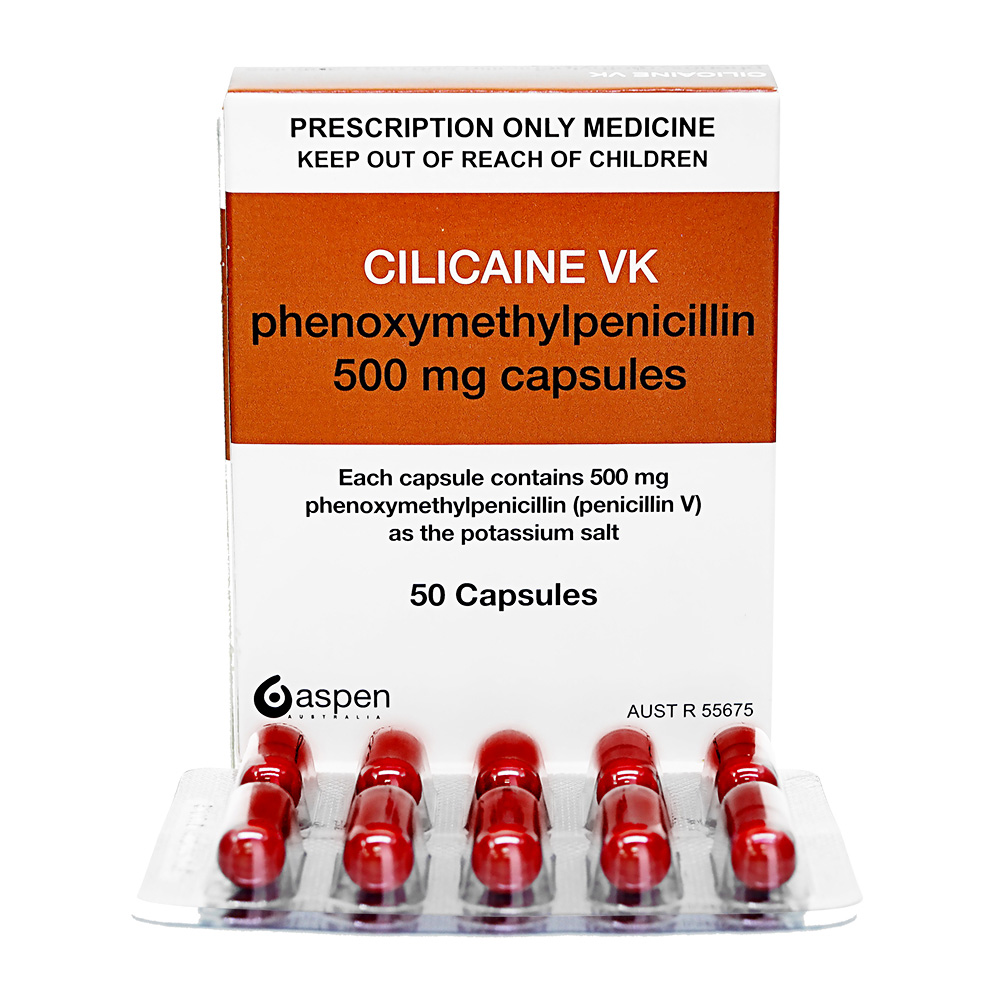 （CilicaineVK）フェノキシメチルペニシリンの購入 | その他 | 正規品取扱のアイエスティ